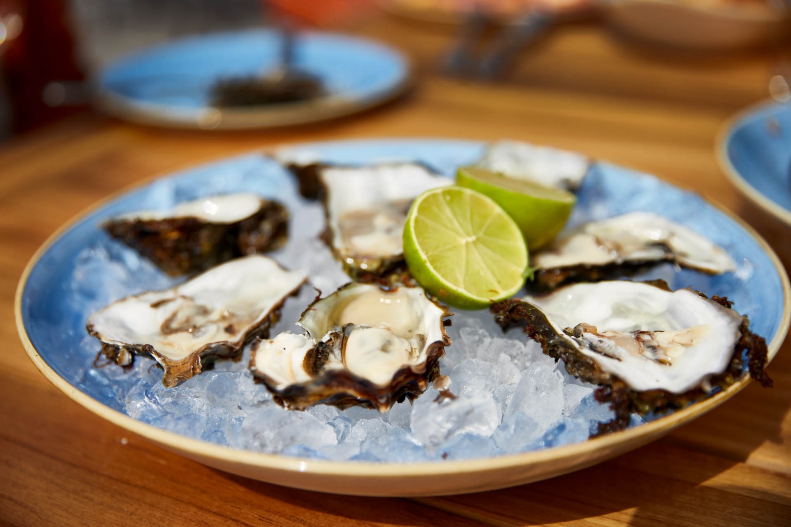 Food & Drinks | Waddenpaviljoen de Noorman
